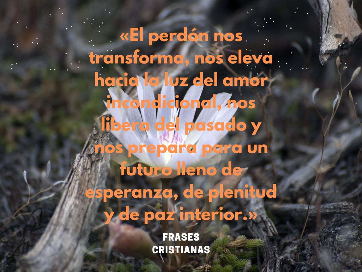 50 Poderosas Frases Cristianas Que Te Inspirarán A Practicar El Perdón
