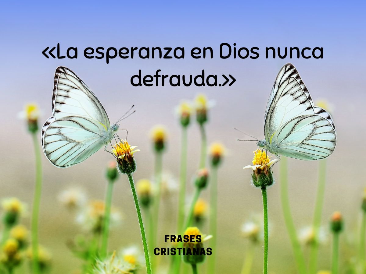 Las 50 Frases Cristianas Más Bonitas Para Acompañar Tus Fotos